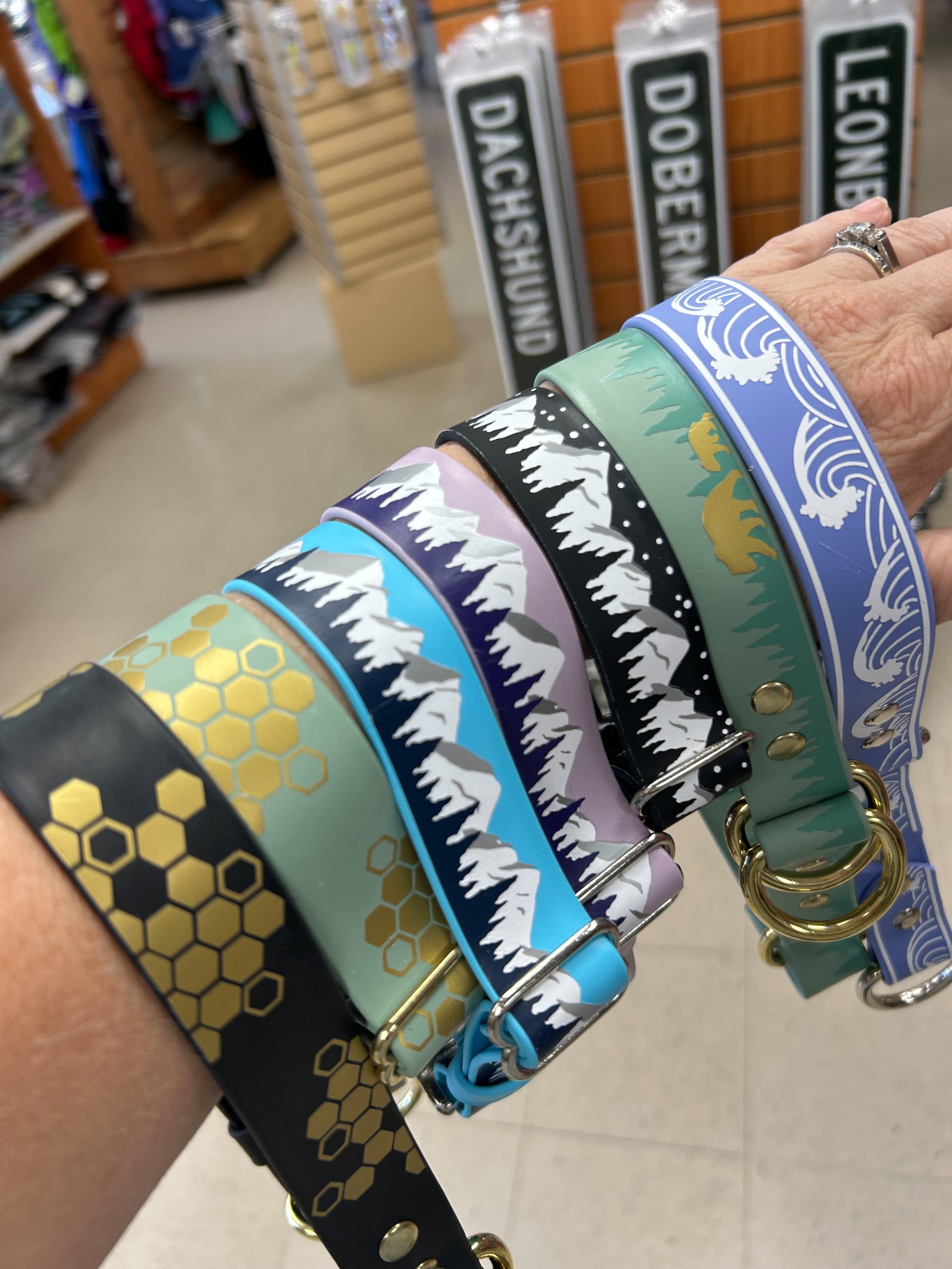 Grey Jay Collars | Continental Pet Company & Dogs Do Smile