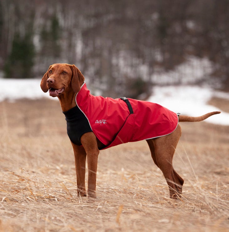 Chilly Dog Alpine Blazer | Continental Pet Company & Dogs Do Smile