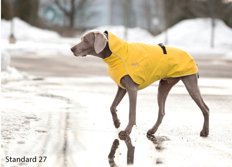 Chilly Dog Harbour Slicker | Continental Pet Company & Dogs Do Smile