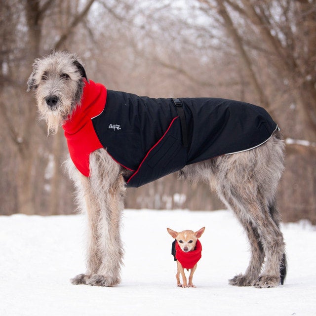 Chilly Dog Coats Canada | Continental Pet Company & Dogs Do Smile